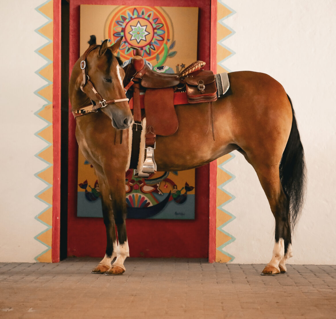 Cómo ensillar correctamente tu caballo o mula » Talabartería San Fermín